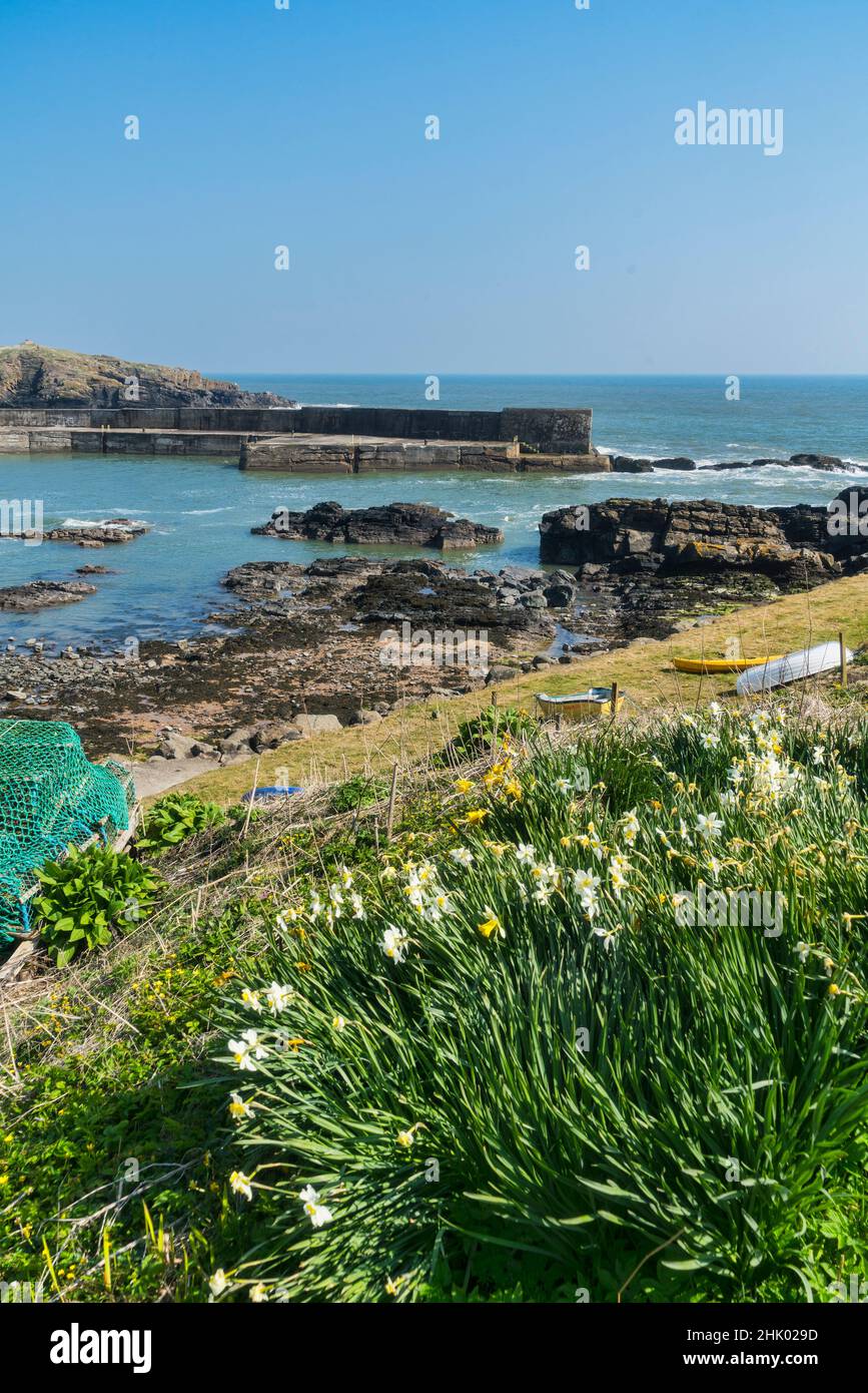 Collieston coastal village, harbour, Aberdeenshire, Highland Region ...
