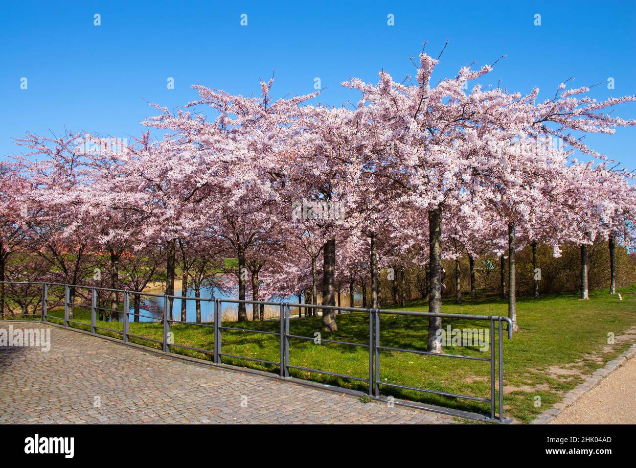 Places to visit in denmark hi-res stock photography and images - Alamy