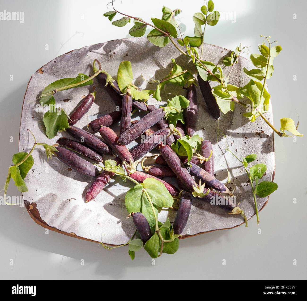 Heritage purple podded peas on a hand-made cream coloured glazed plate ...