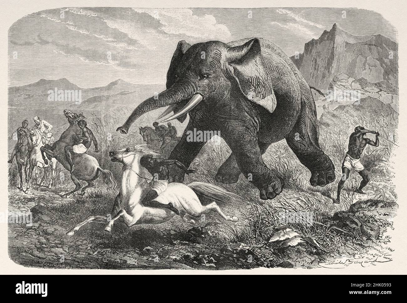 Elephant hunting by sword hi-res stock photography and images - Alamy