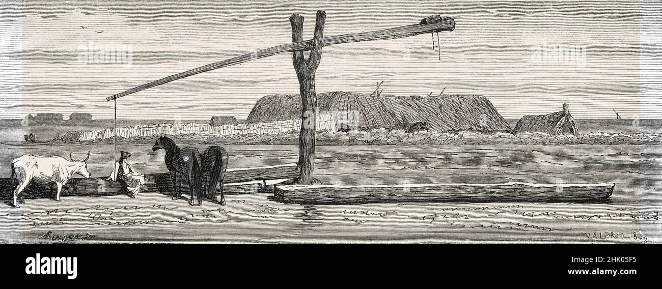 Water well and animals at Puszta, great Hungarian plain, Hungary ...