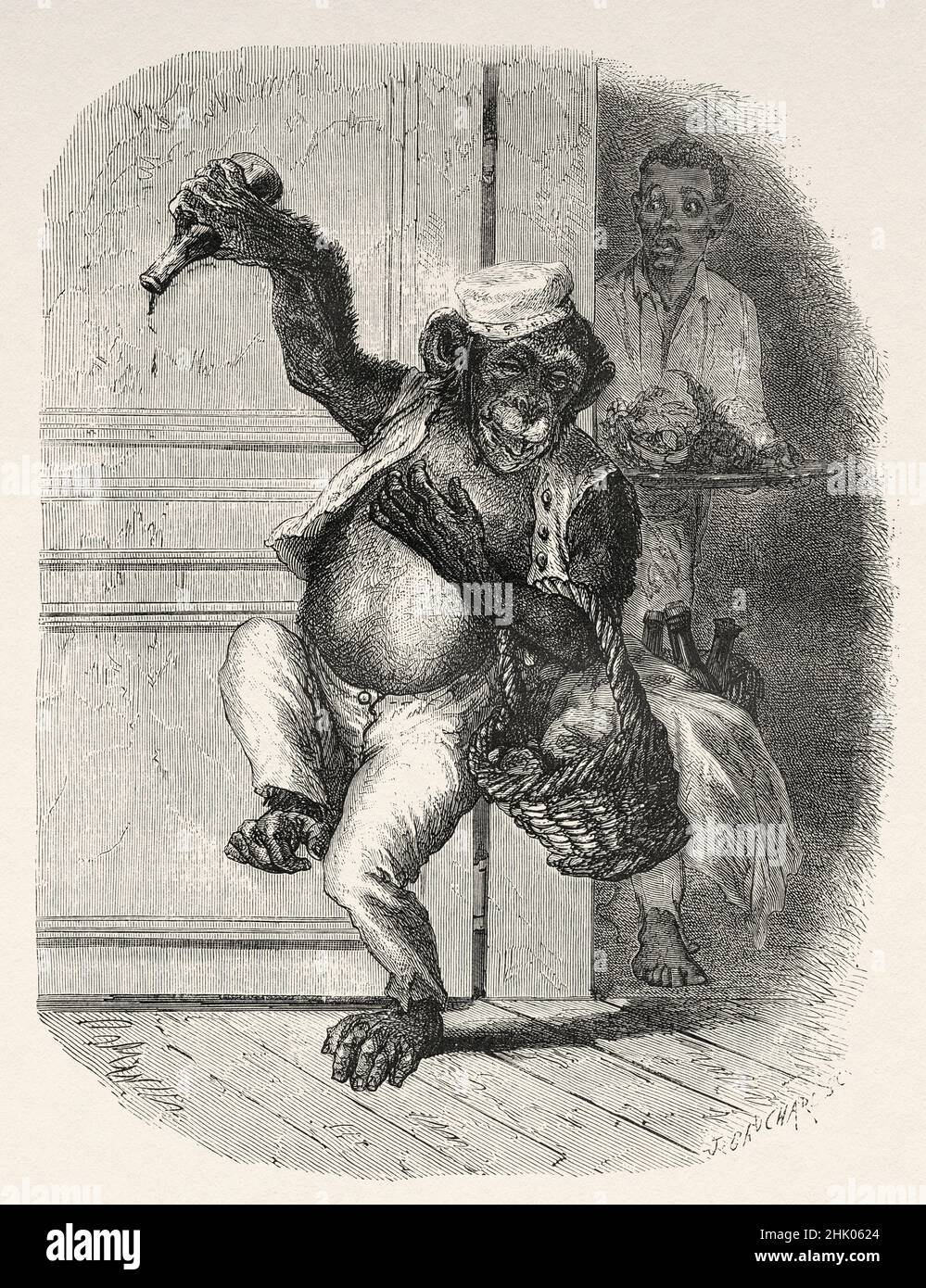 Trained chimp hi-res stock photography and images - Alamy