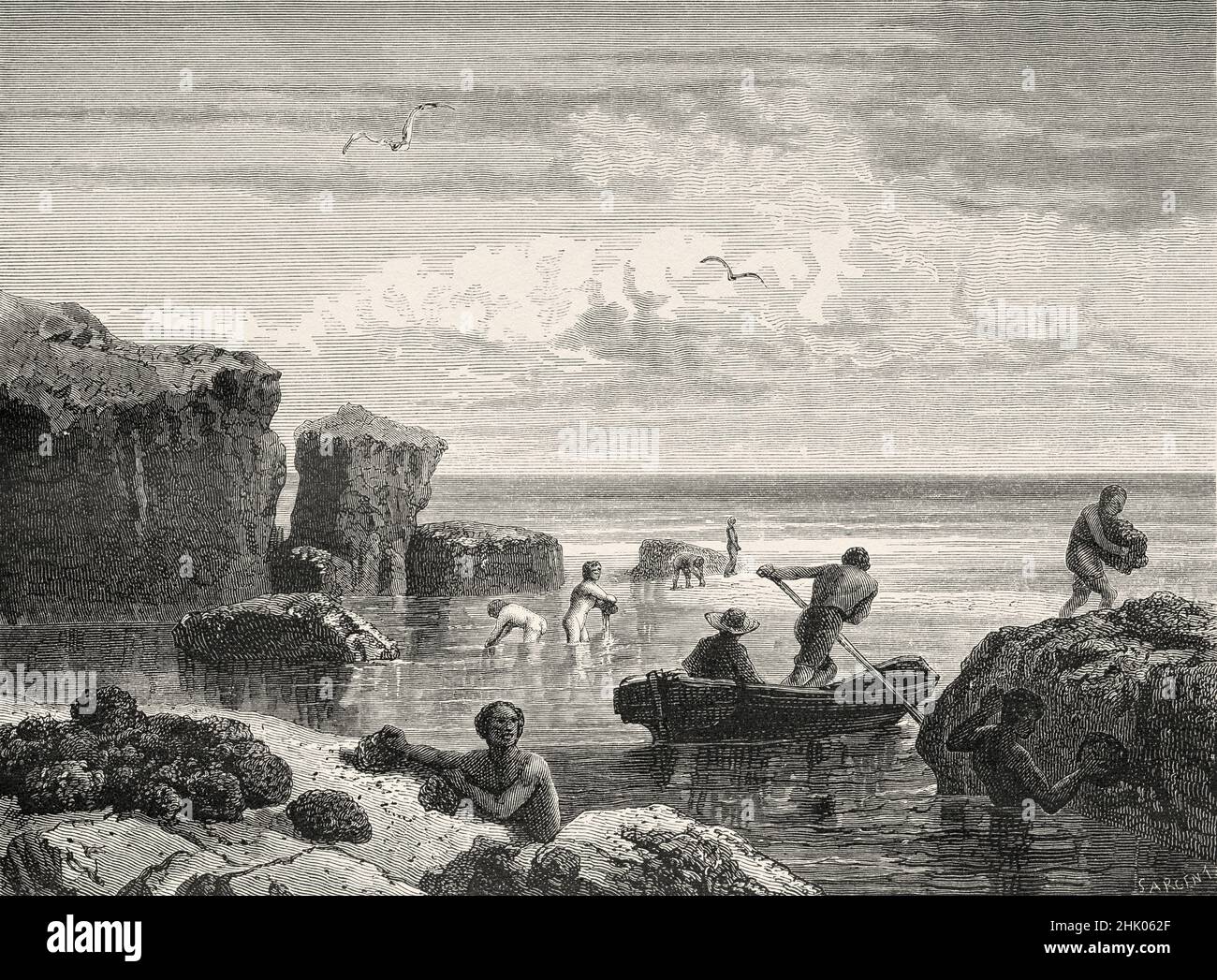 Sponges fishermen, Florida, United States of America. Old 19th century ...
