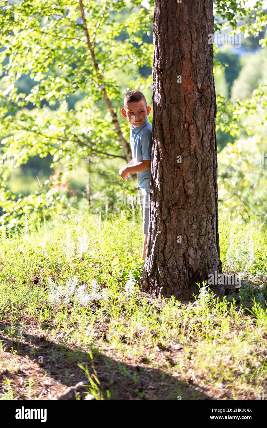 The boy looks out from behind a tree, hides, plays hide-and-seek Stock ...