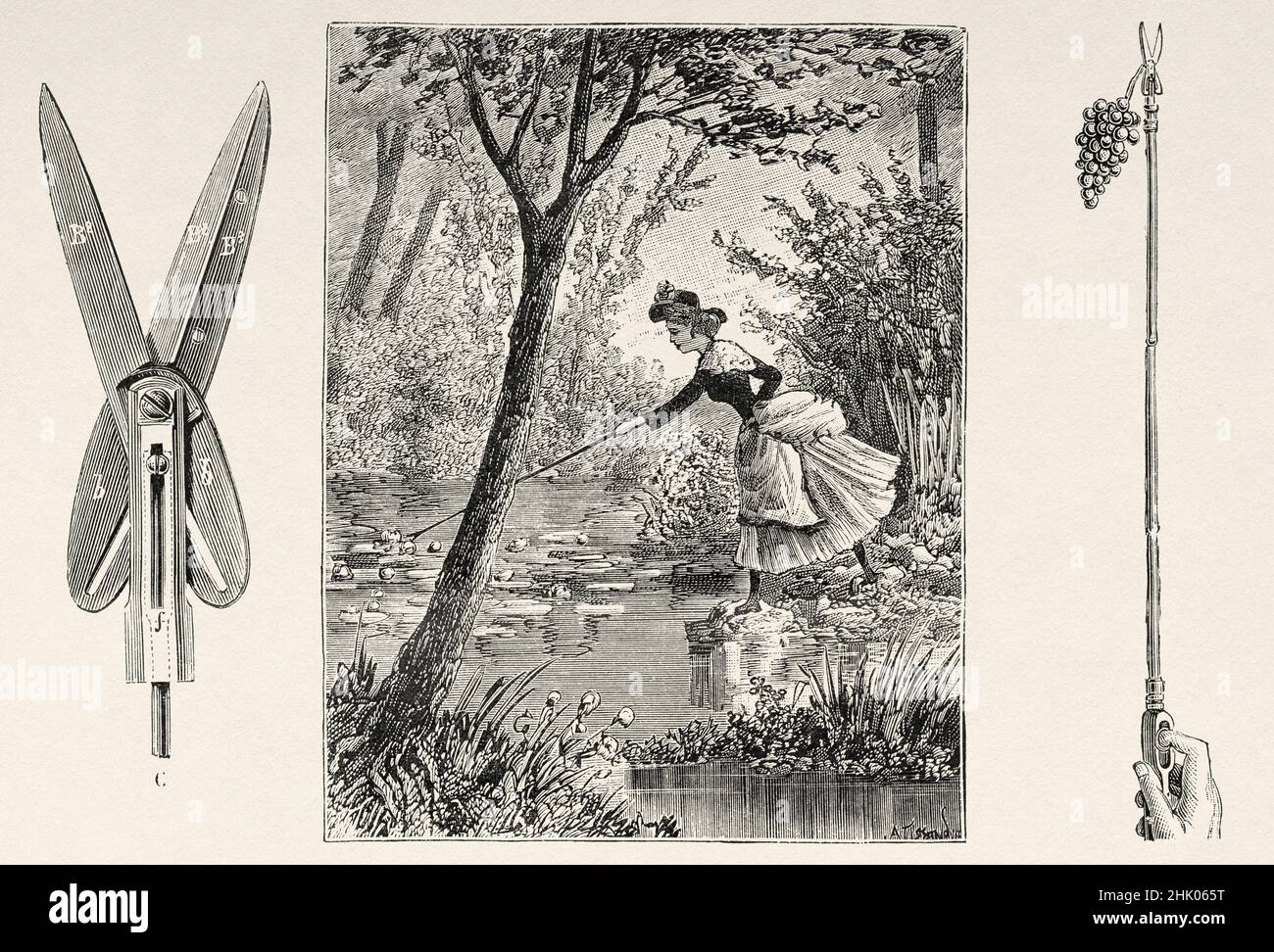Telescopic tree pruner. Old 19th century engraved illustration from La ...