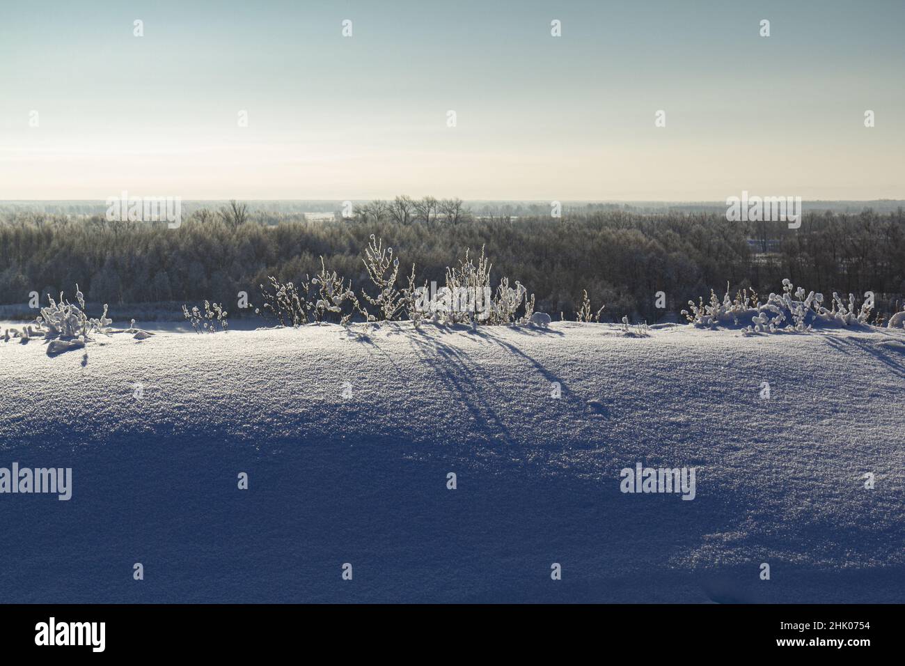 Distant forest hi-res stock photography and images - Alamy