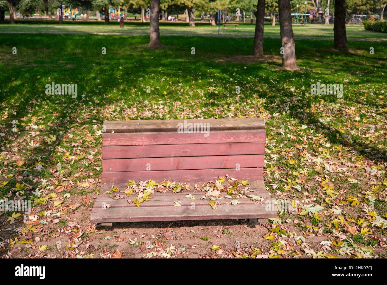 High angle street bench, autumn leaf on ground and wooden bench seat in ...