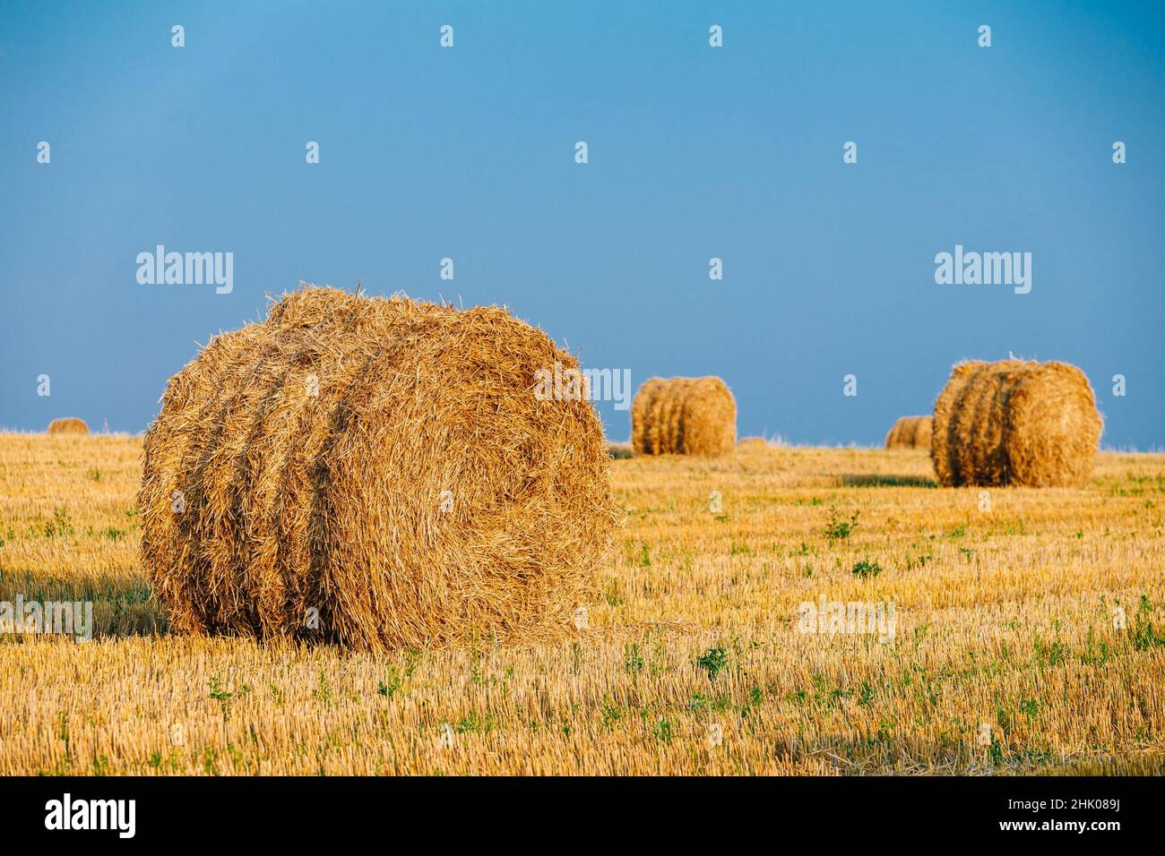 Harvesting hay hay month hi-res stock photography and images - Alamy