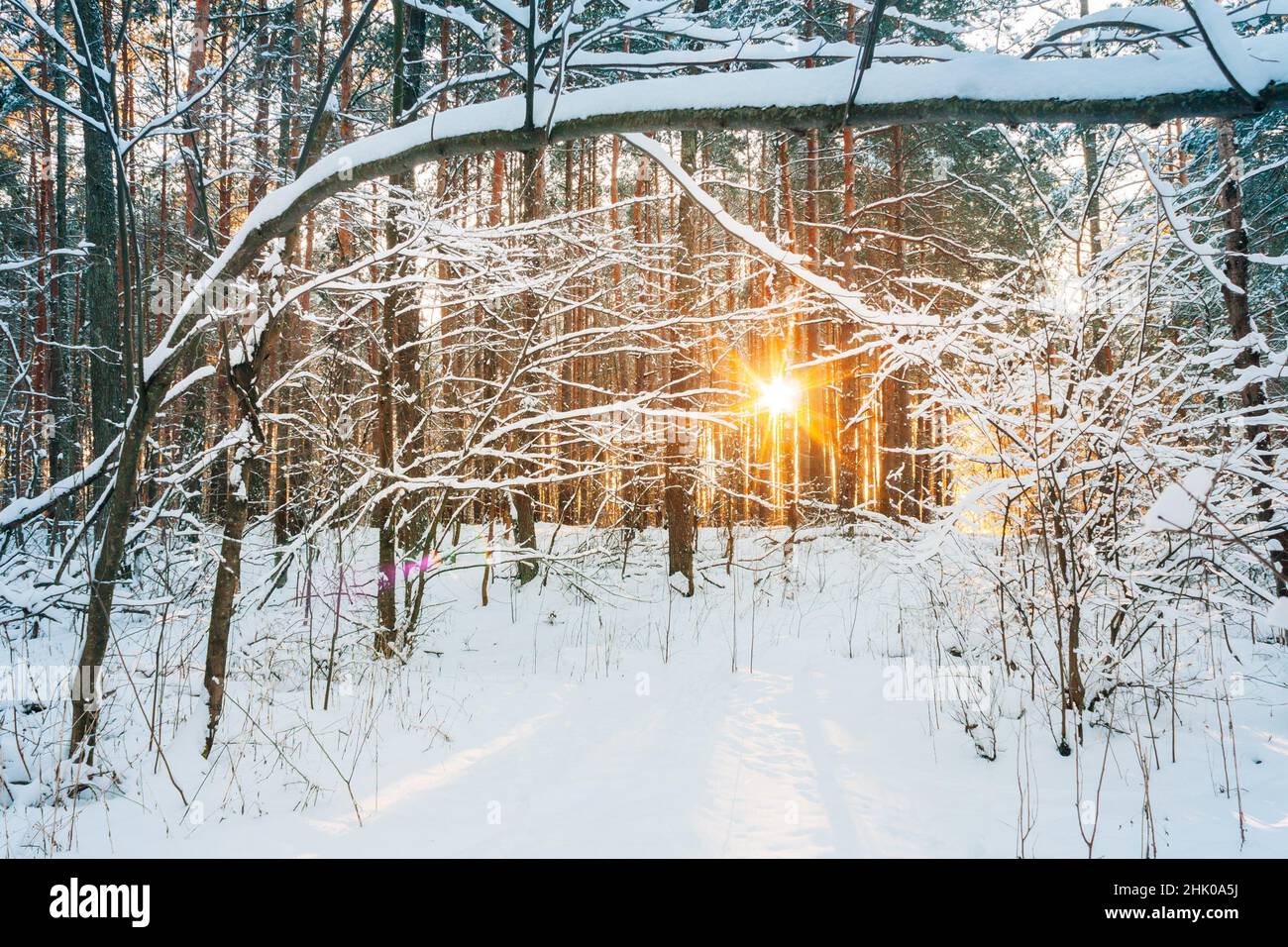 Sunny sun sunshine hi-res stock photography and images - Alamy