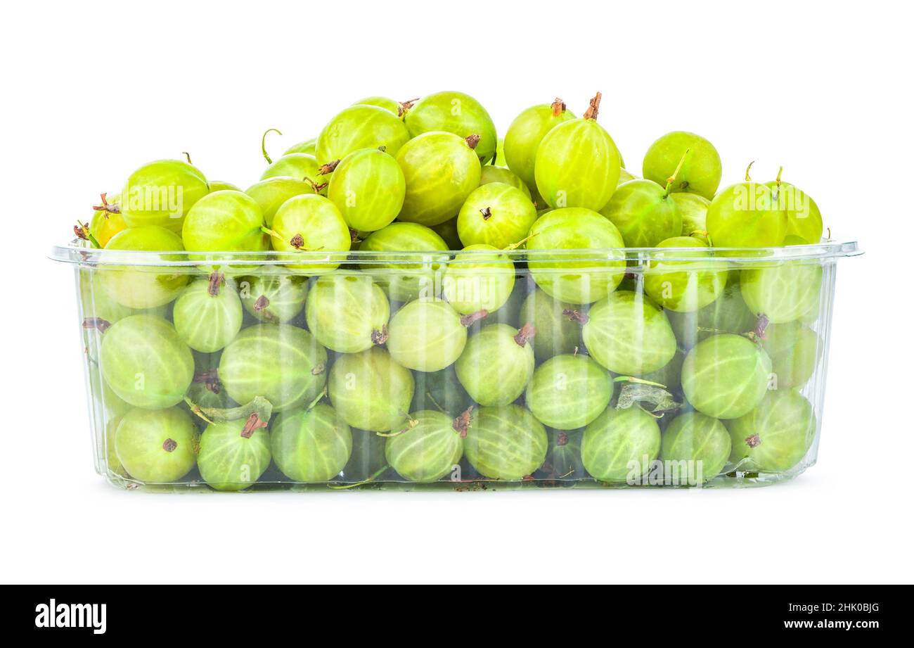 Gooseberry plant container hi-res stock photography and images - Alamy