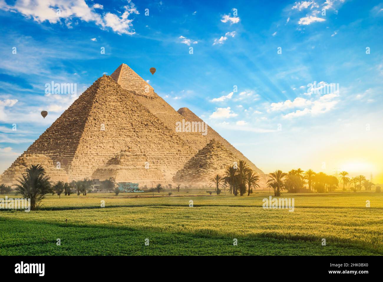 Trees on the pyramids hi-res stock photography and images - Alamy