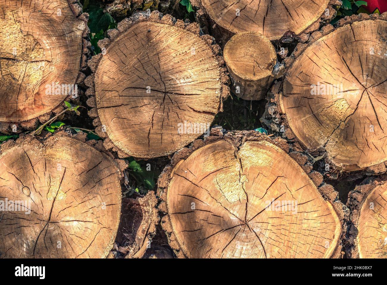 Stacked log pattern hi-res stock photography and images - Alamy