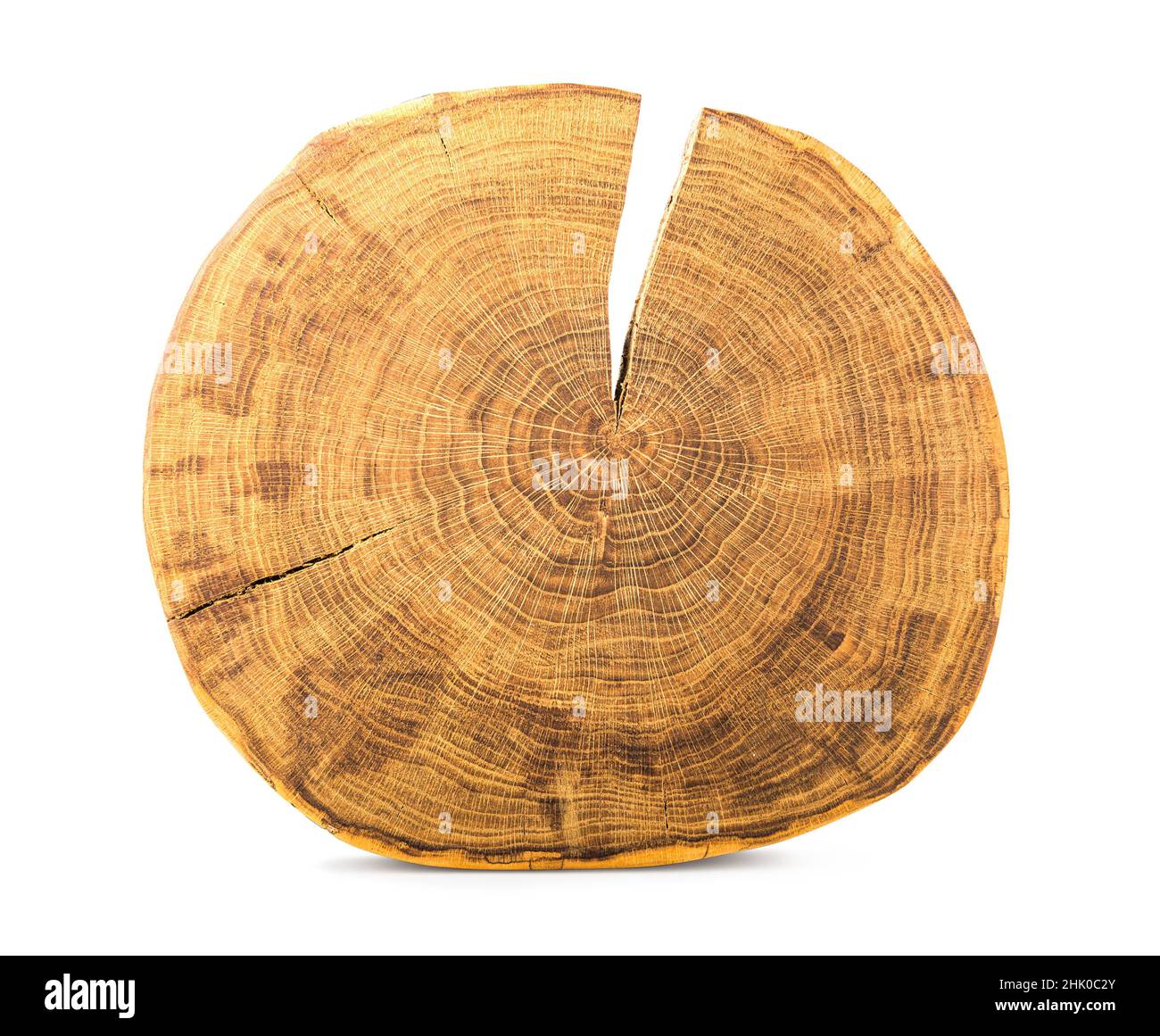 Slice Oak High Resolution Stock Photography and Images - Alamy