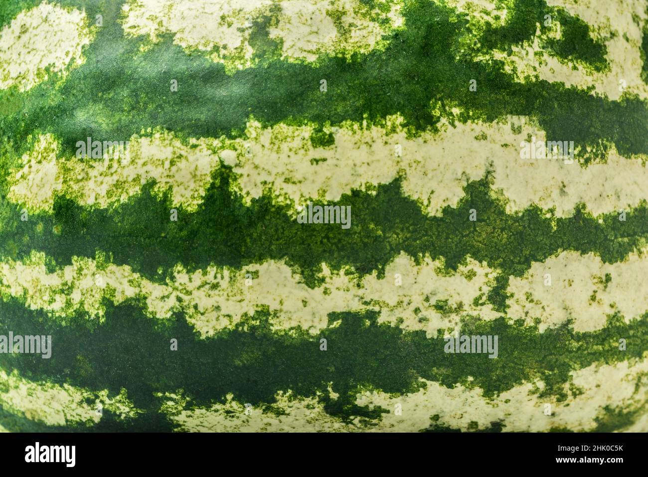 Green skin of watermelon hi-res stock photography and images - Alamy