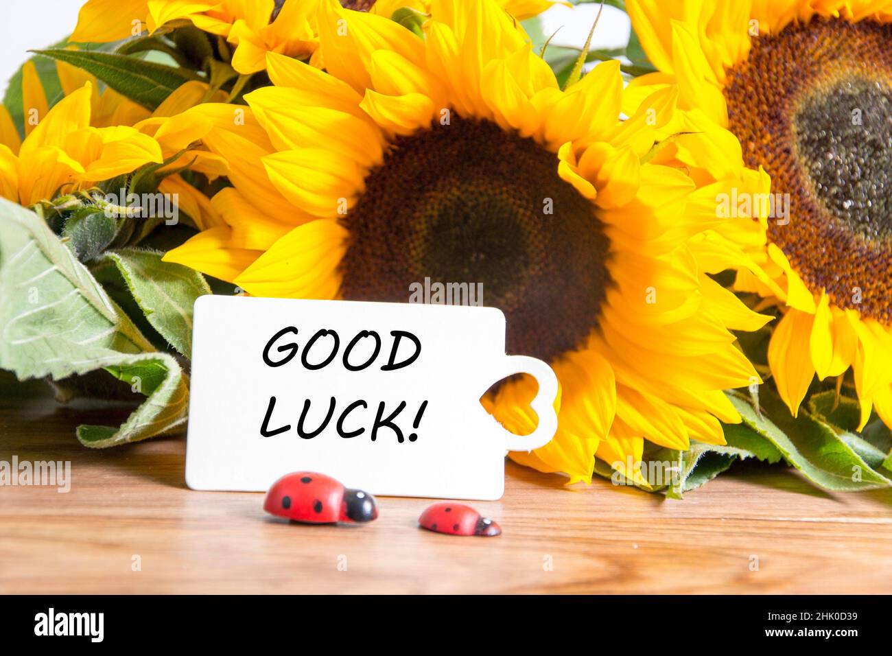 Good luck card with flowers hi-res stock photography and images - Alamy