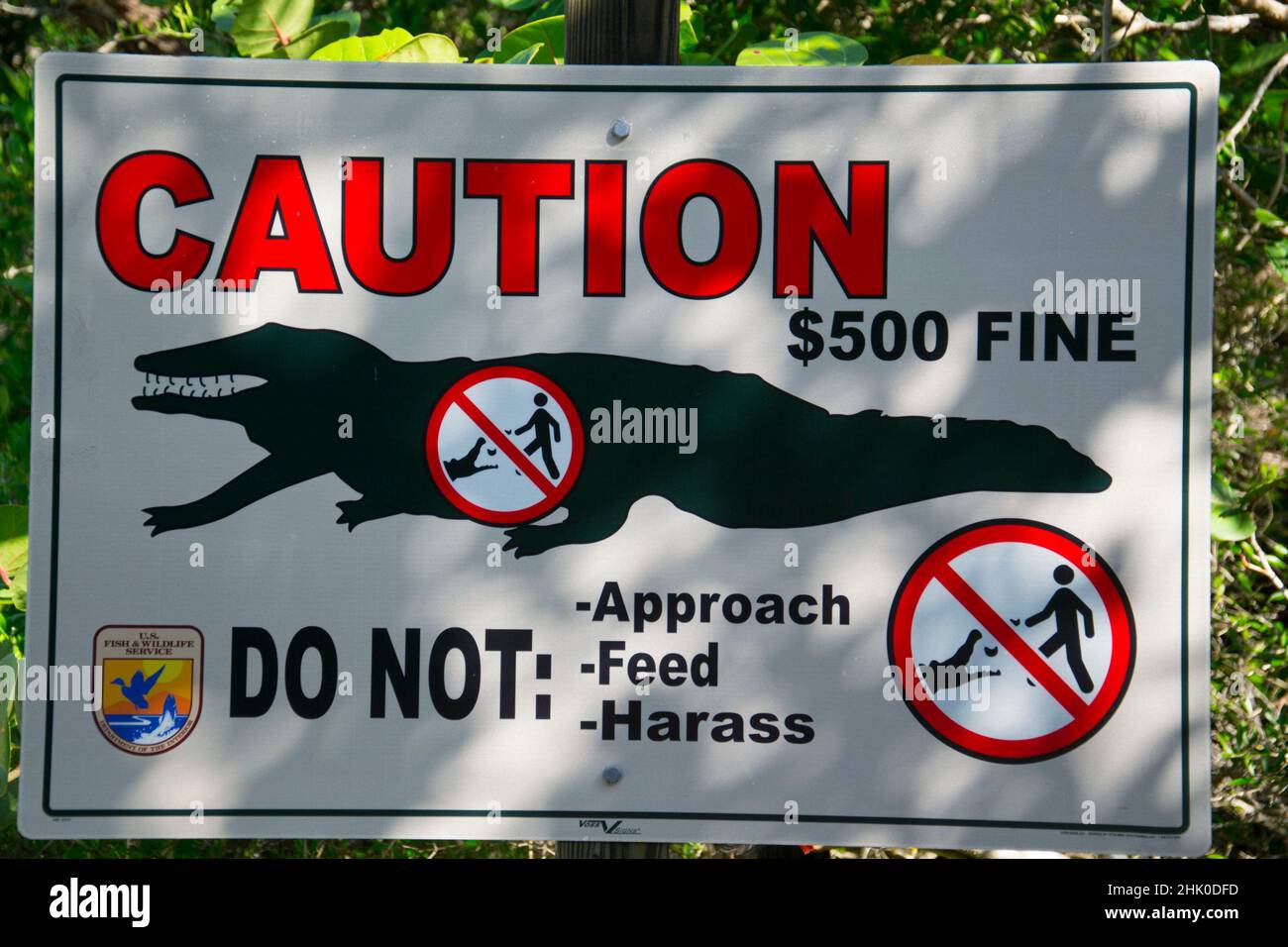 Crocodile sign hi-res stock photography and images - Alamy