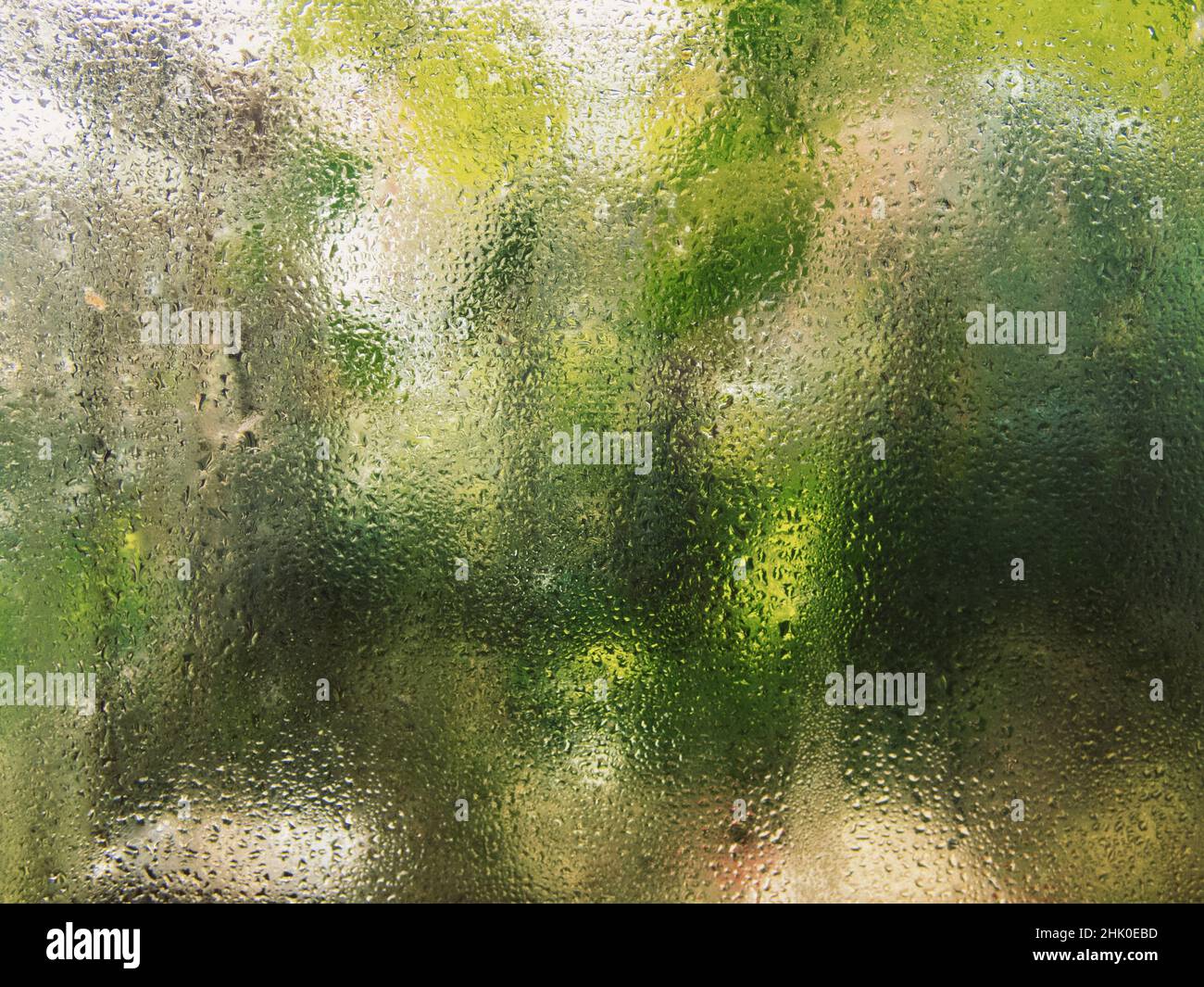 Morning dew on the windows of the village greenhouse Stock Photo - Alamy