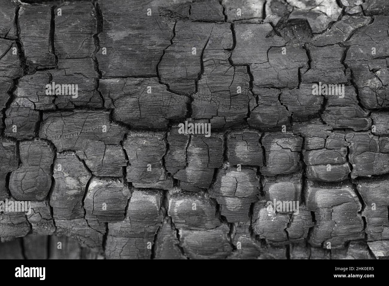 Burned carbonized wood texture surface details closeup Stock Photo - Alamy