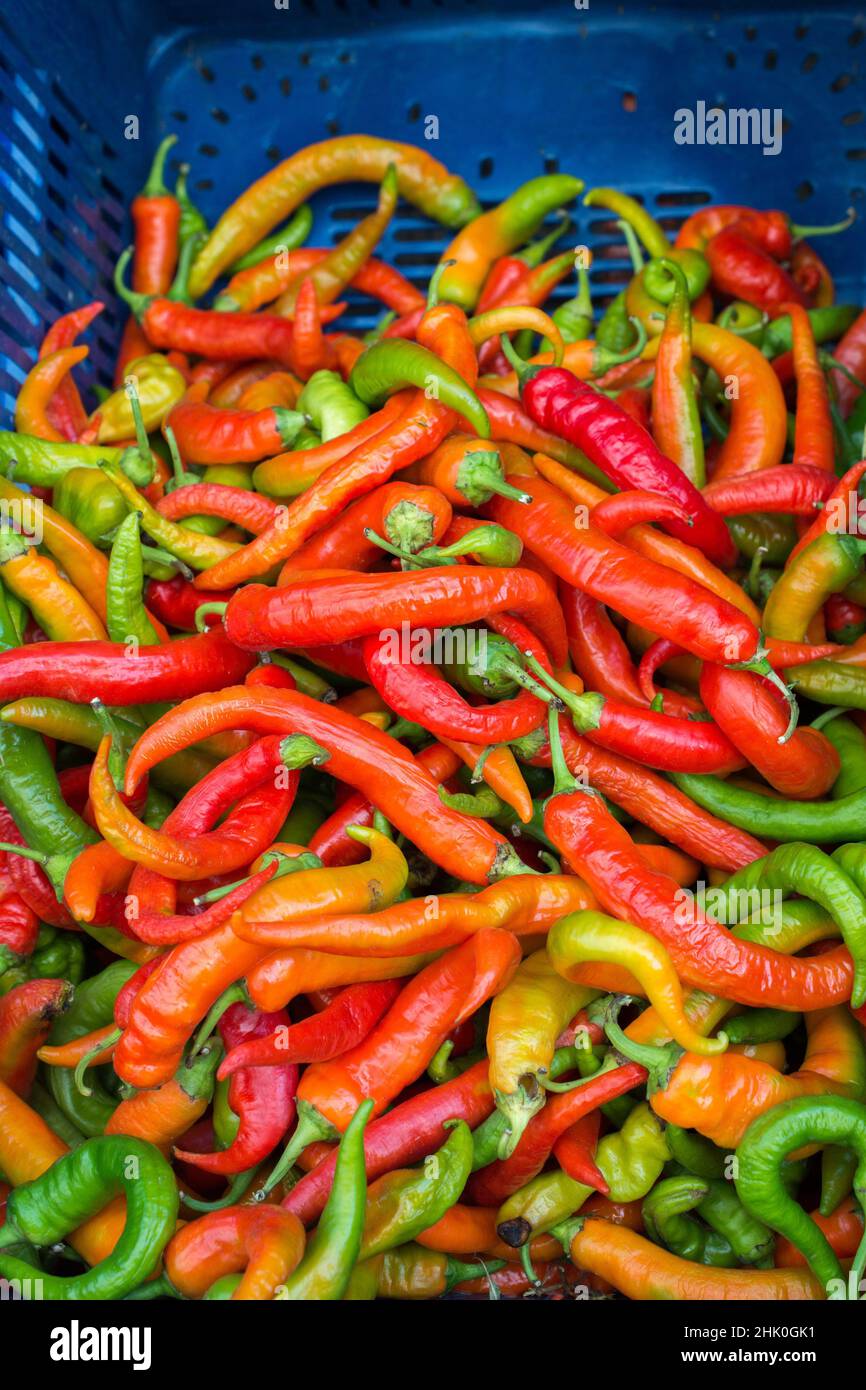 Pepper stand hi-res stock photography and images - Alamy