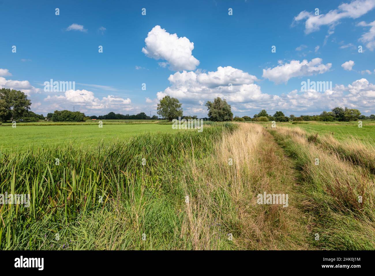 Panoramic grass field landscape in Belgium Stock Photo - Alamy