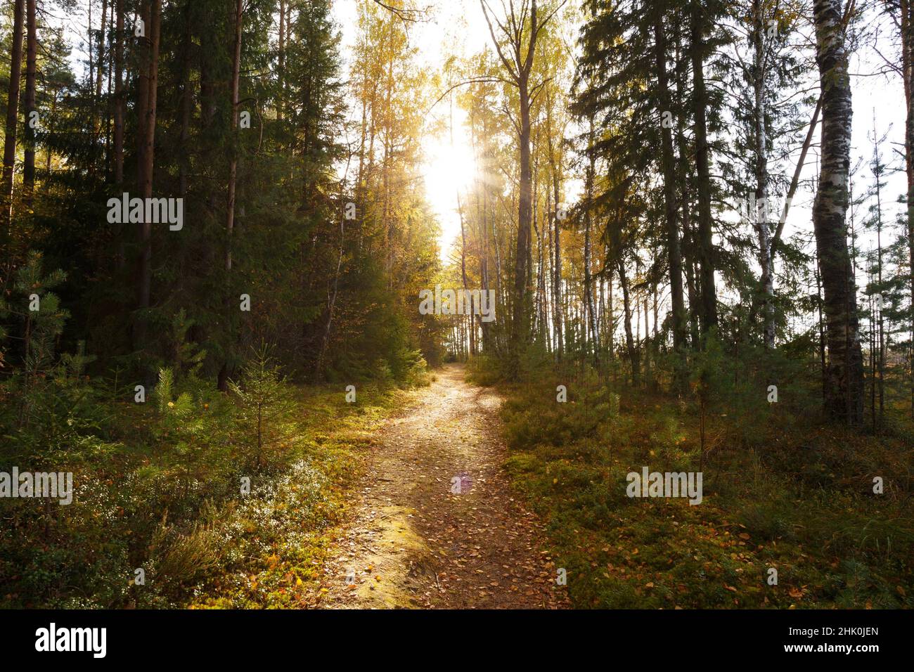 Shining Path High Resolution Stock Photography and Images - Alamy