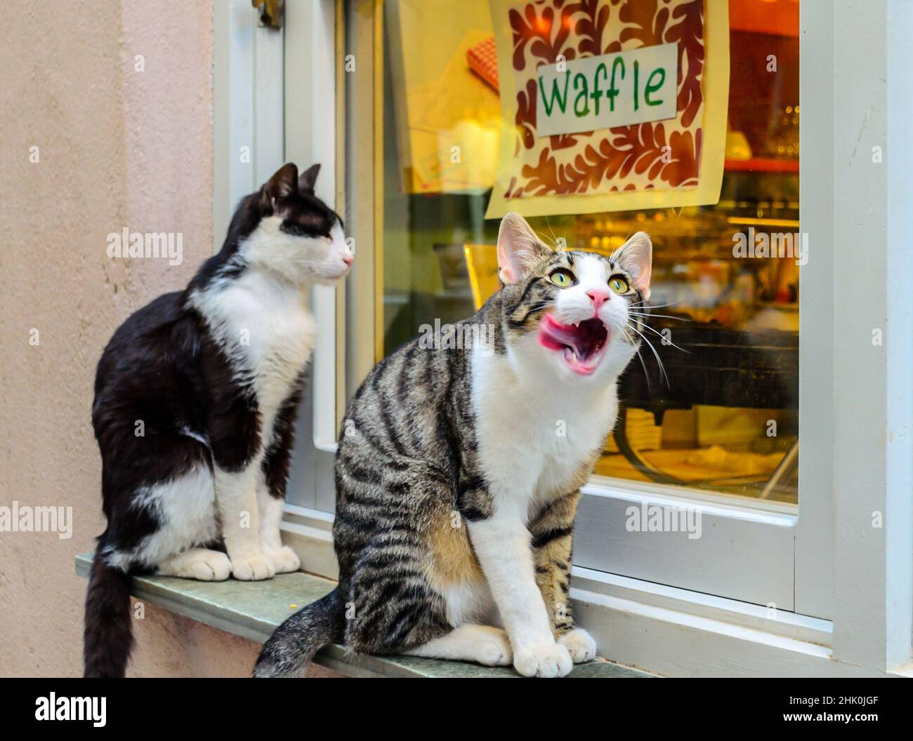 Hungry marketplace hi-res stock photography and images - Alamy