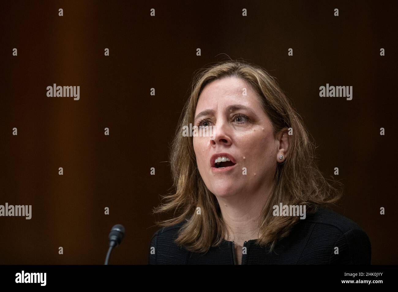 Jennifer Louise Rochon appears before a Senate Committee on the ...