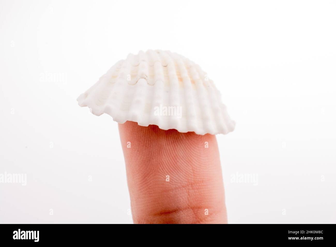 Hand holding seashell hi-res stock photography and images - Alamy