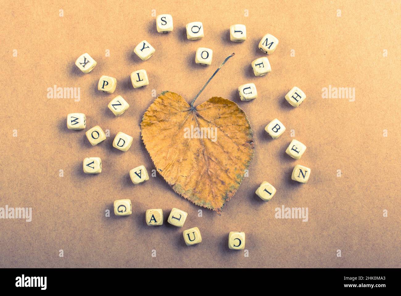 Around the leaf hi-res stock photography and images - Alamy