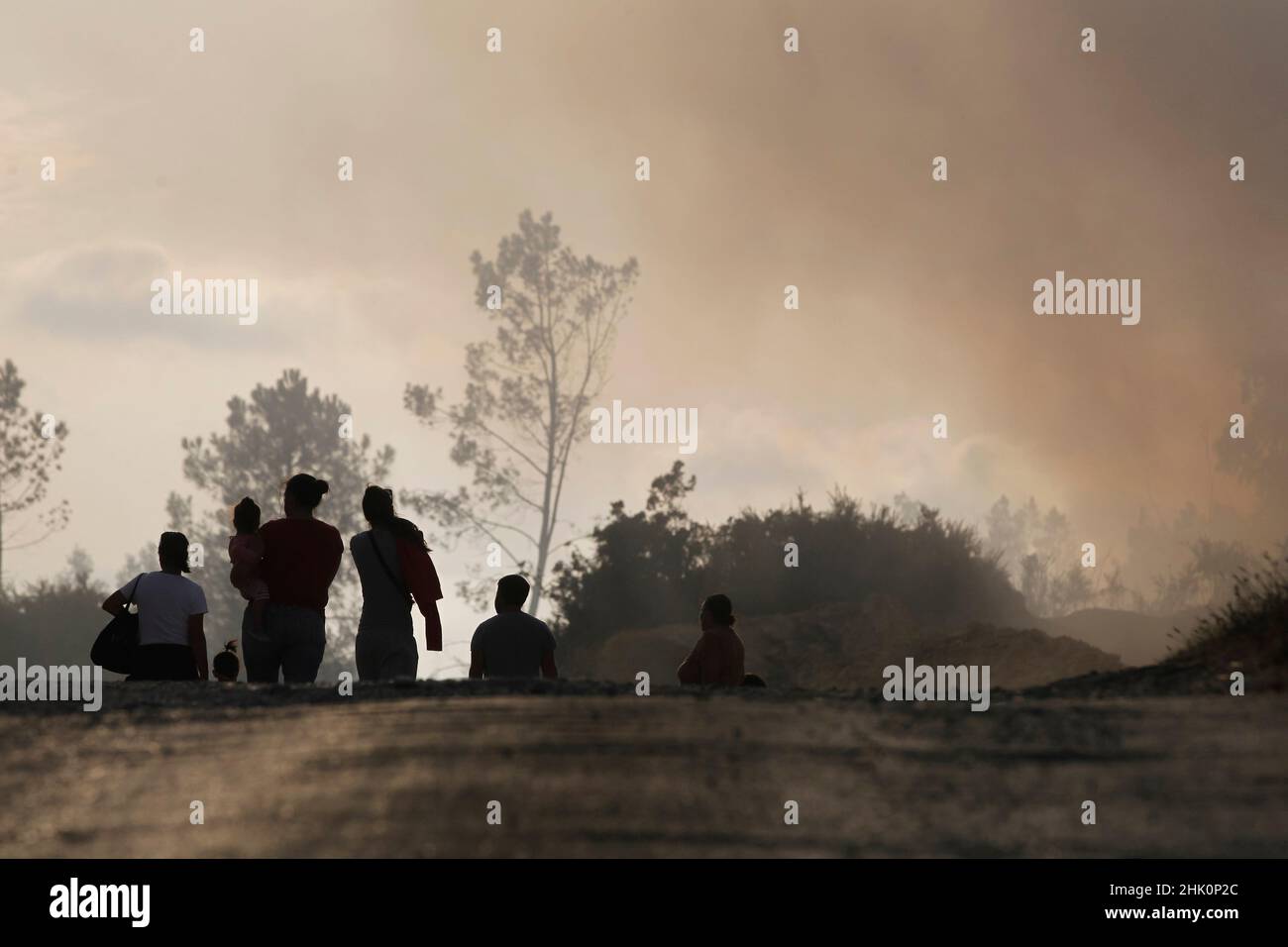 A group of people watch a forest fire Stock Photo - Alamy