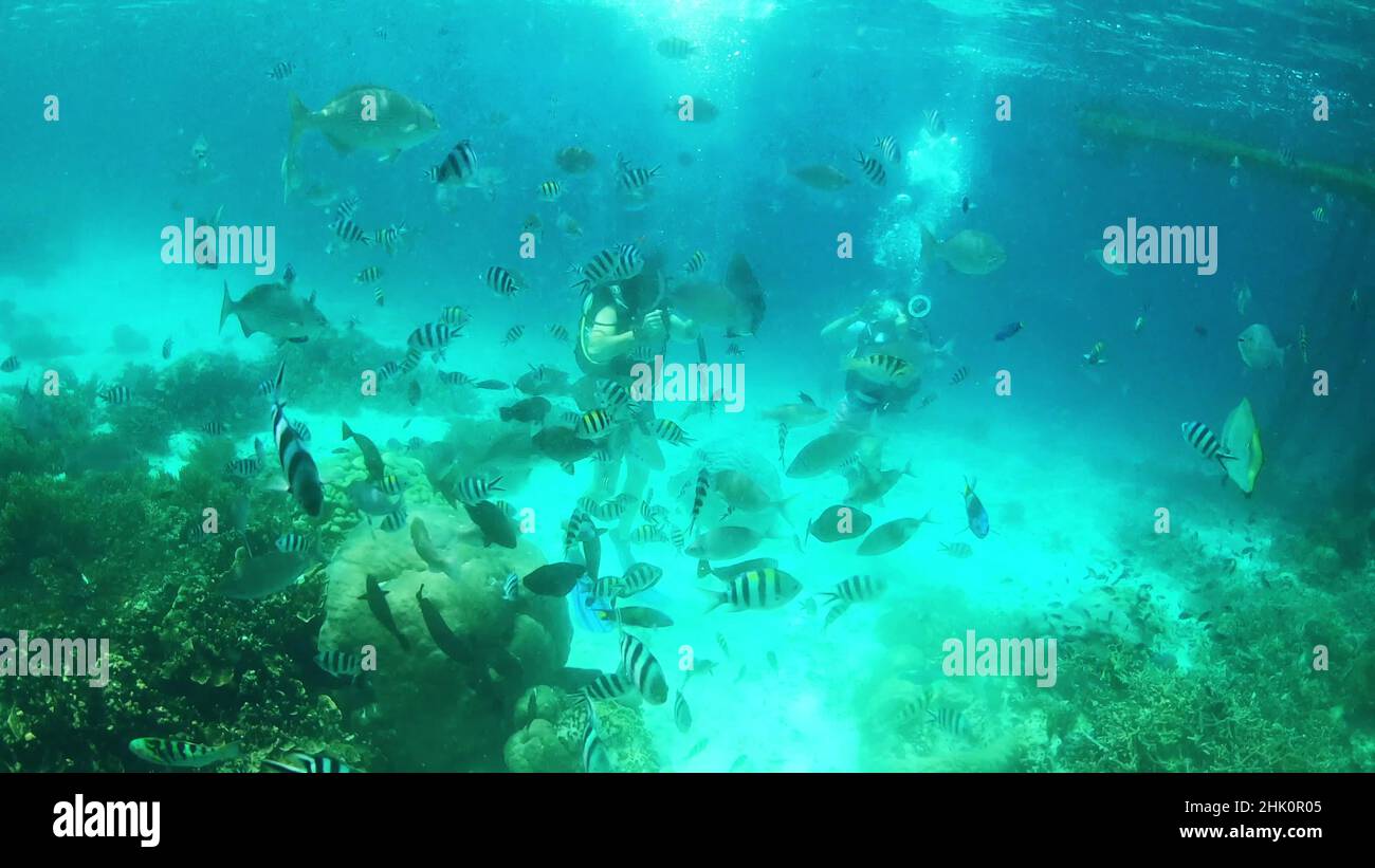 Dive where the water is deep. 4k video footage of two handsome young ...