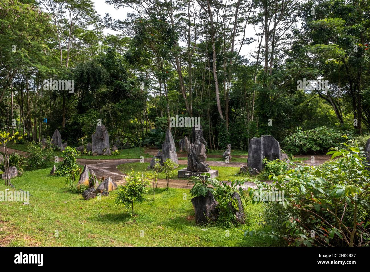 Open orchid cactus hi-res stock photography and images - Alamy