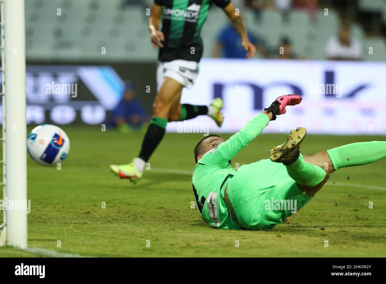 1st February 2022; Campbelltown Stadium, Sydney, NSW, Australia: A ...