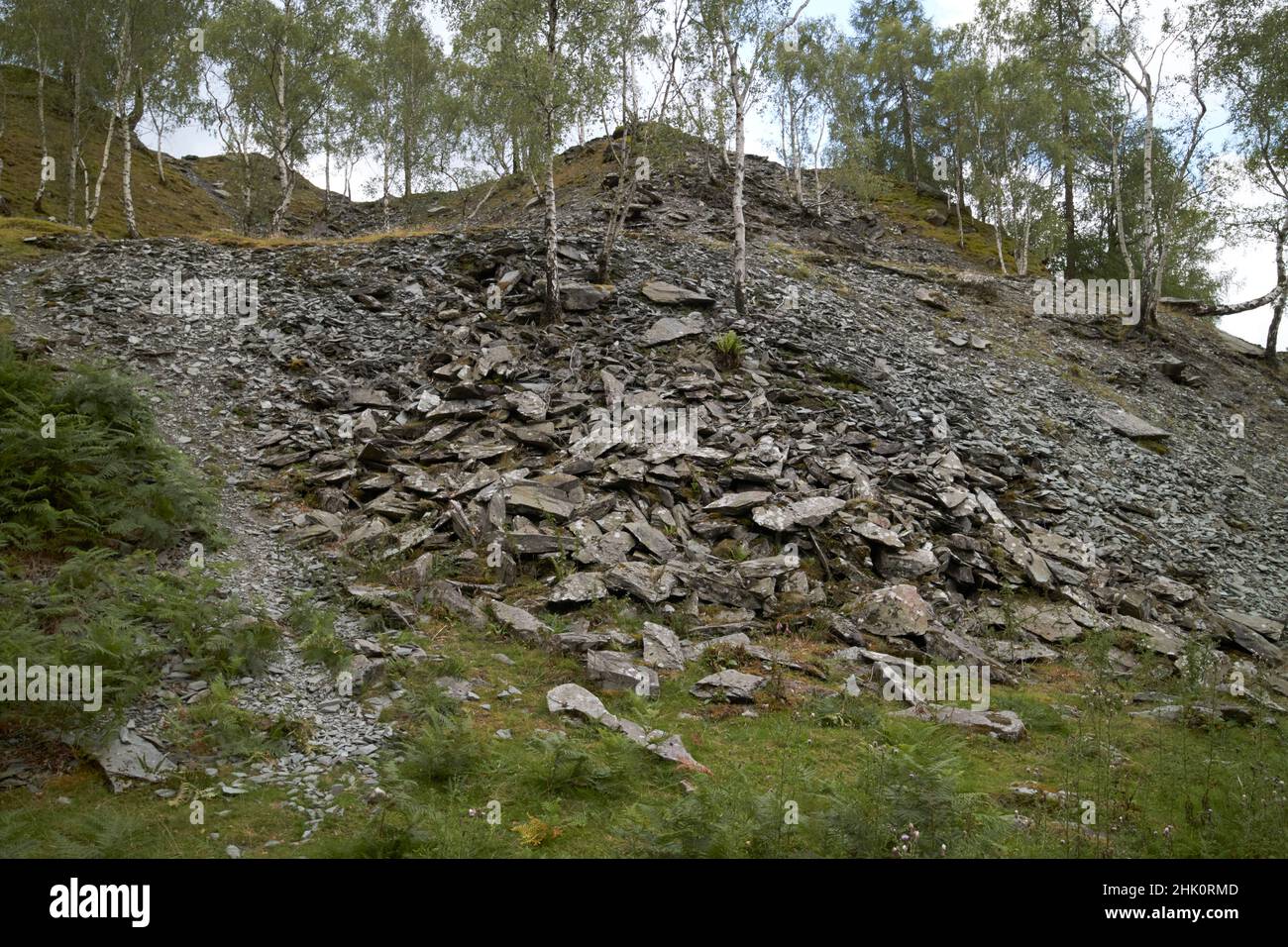 spoil heaps from disused slate quarry in elterwater lake district ...