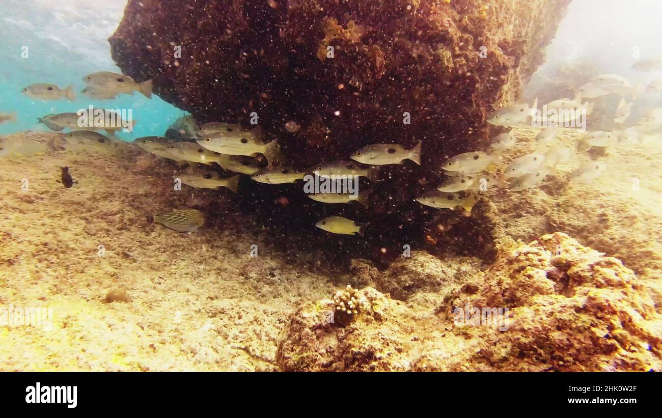 Getting around down here can be a little tricky Stock Photo - Alamy