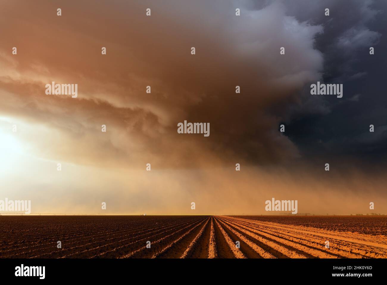 Lubbock texas farm hi-res stock photography and images - Alamy