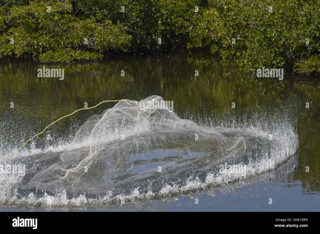 Round splash fishing net Stock Photo - Alamy
