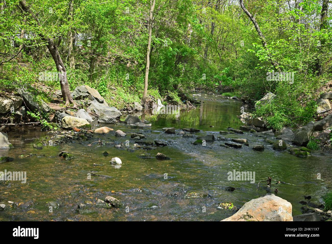 Beautiful creek,small river flowing stream,with reflections,trees,rocks ...