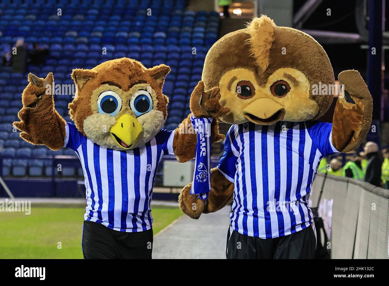Sheffield wednesday mascot ozzie the owl hi-res stock photography and ...