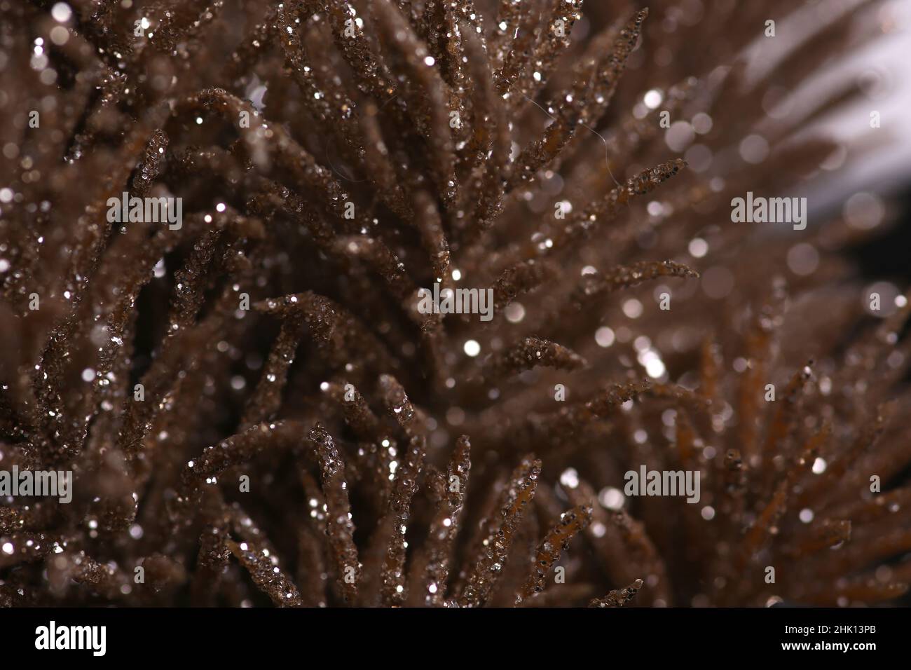 abstract winter background of golden fir needle extreme close up Stock ...