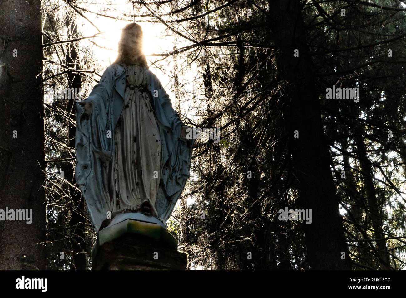 The statue of the Virgin Mary in the forest with a backlight of sun ...