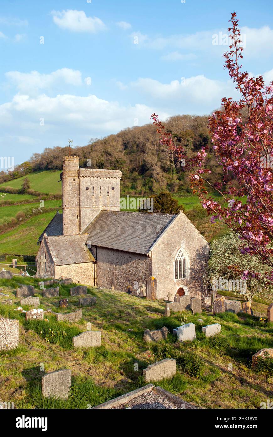 UK, England, Devonshire. Branscombe. St Winifred’s Church with a 12c ...
