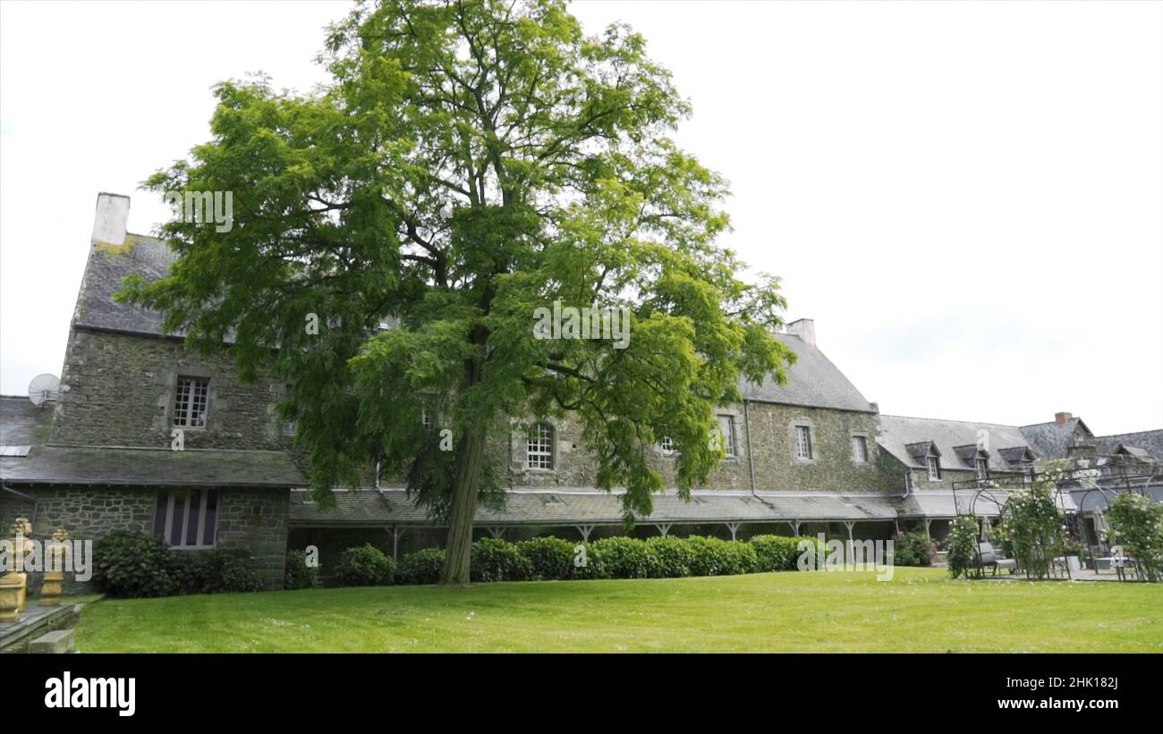 Courtyard of manor house with green lawn and tree. Action. Green tree ...