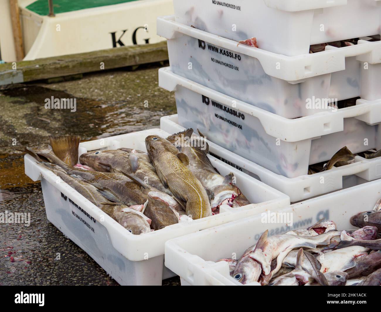 Fishing competition island hi-res stock photography and images - Alamy