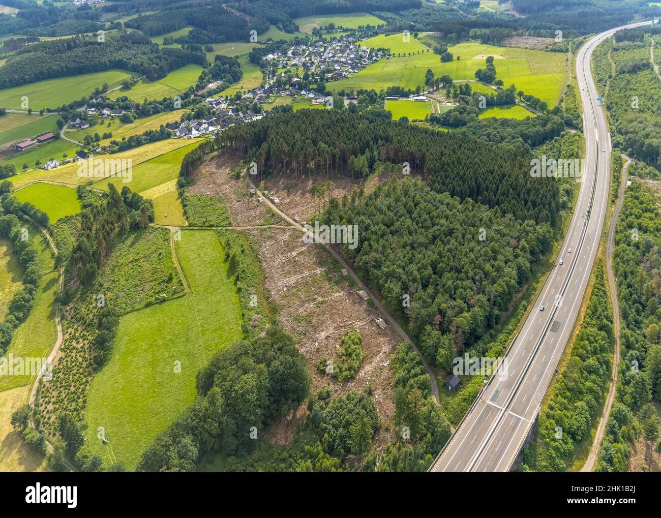 Aerial photograph, forest area with forest damage near Elben, A4 ...