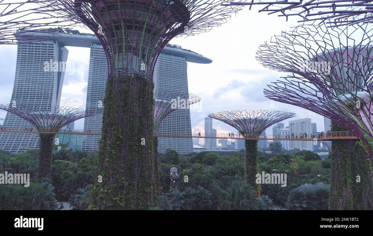 Aerial view Super tree grove in Gardens by the Bay and Marina Bay Sands ...