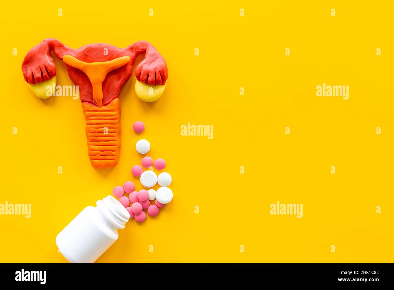 Female reproductive system model hi-res stock photography and images ...