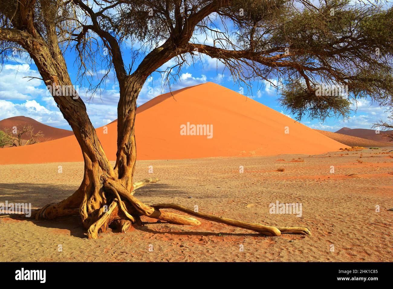 Sossusvlei namib desert national park hi-res stock photography and ...