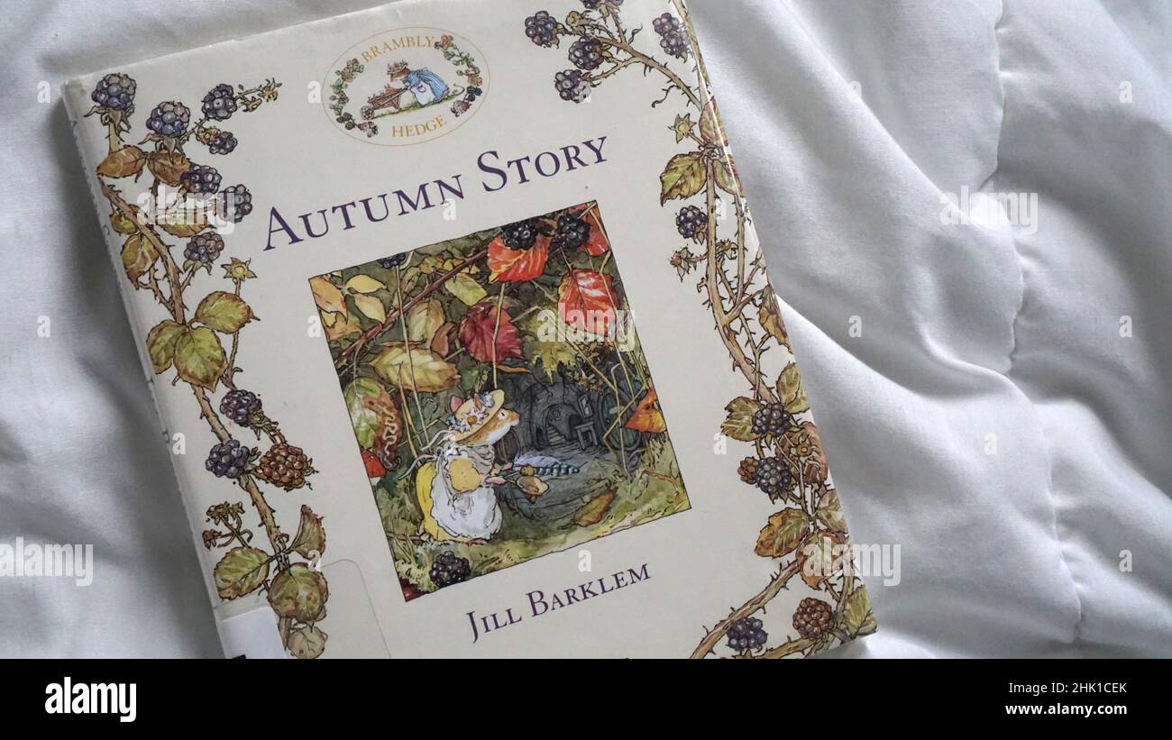 Autumn Story, a book in the Brambly Hedge series by Jill Barklem Stock ...
