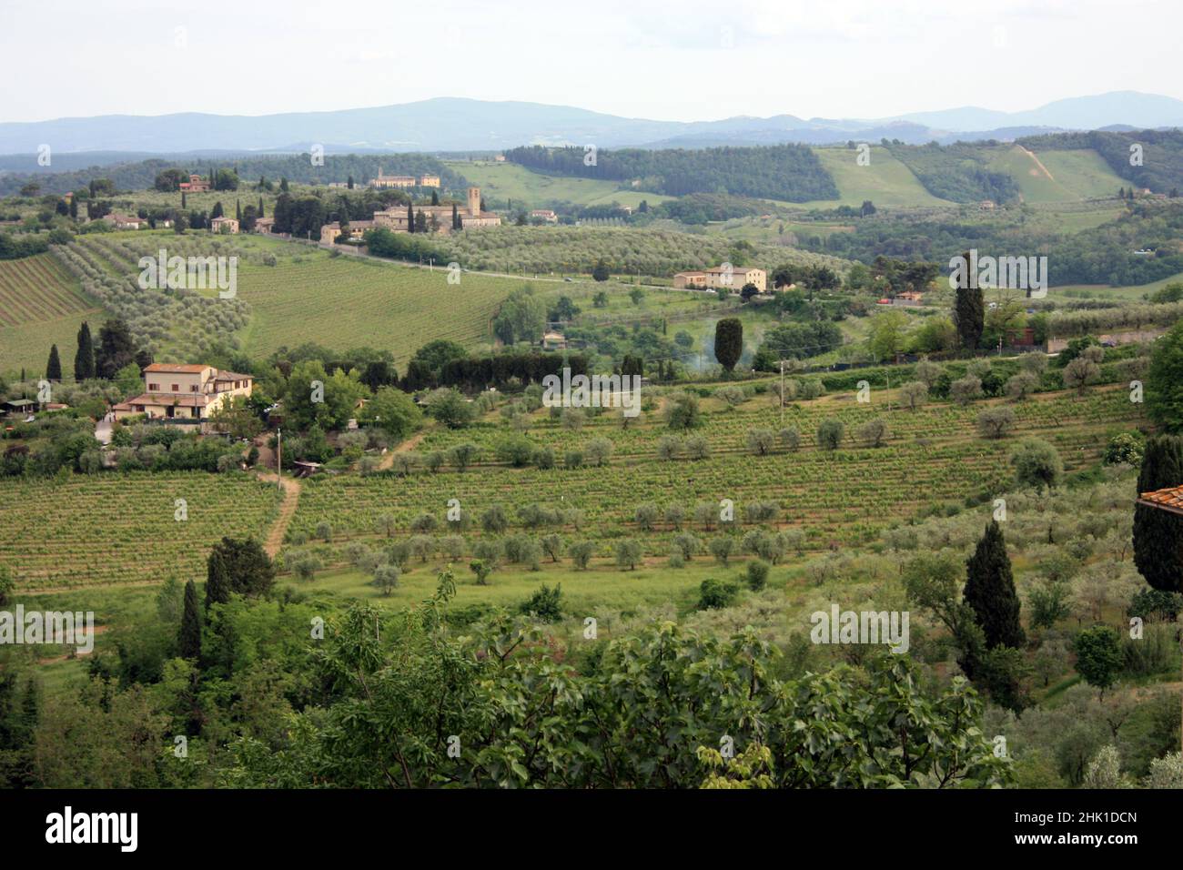 valley of the Tuscan green fields in tuscany Stock Photo - Alamy